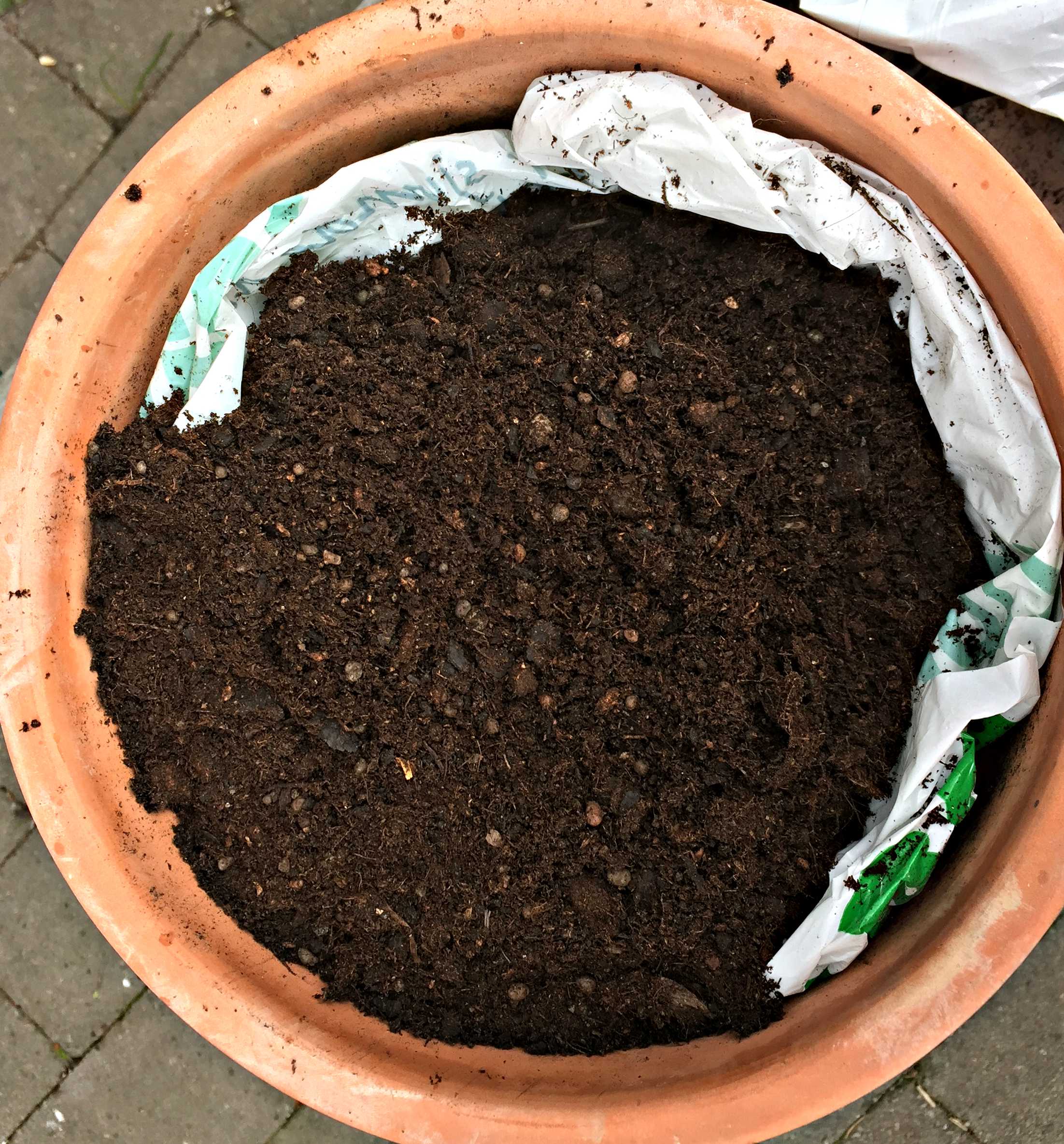 SMART PLANTERING I SNABBTORKANDE LERKRUKOR – Ulla Hasselmark