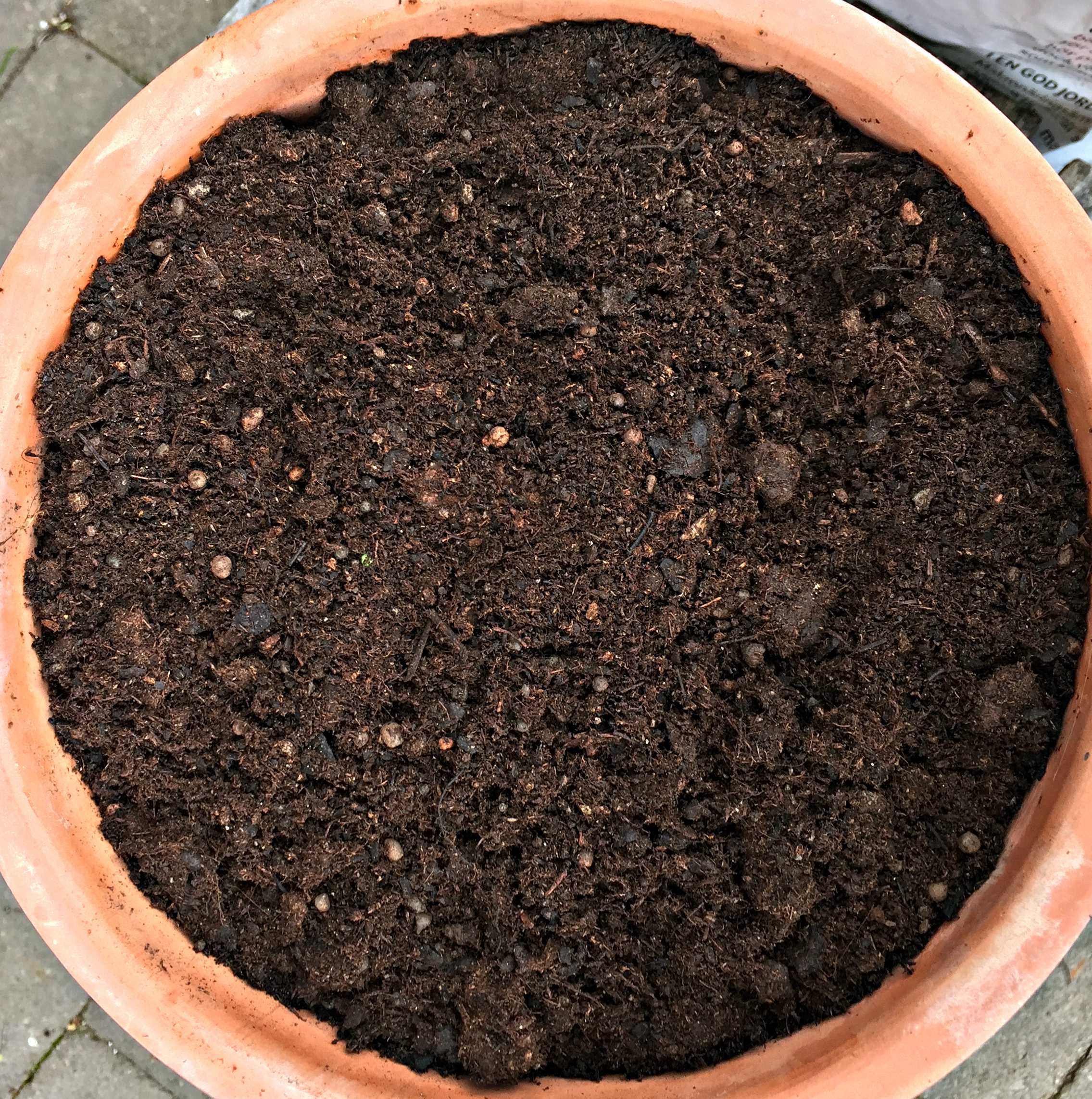 SMART PLANTERING I SNABBTORKANDE LERKRUKOR – Ulla Hasselmark